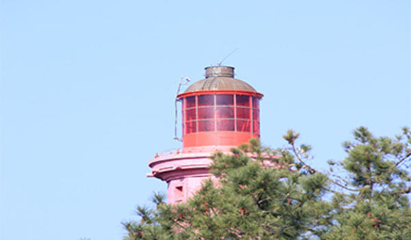 Découvrir Le Cap Ferret - Cap Ferret