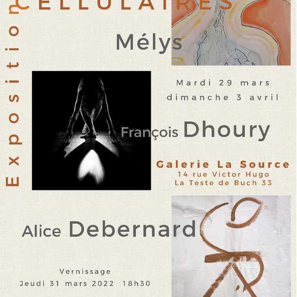 Exposition Mouvements Cellulaires - La Teste de Buch