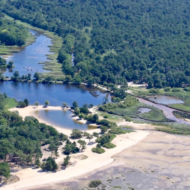 Agenda des Visites guidées et libres à Arès bassin d'arcachon
